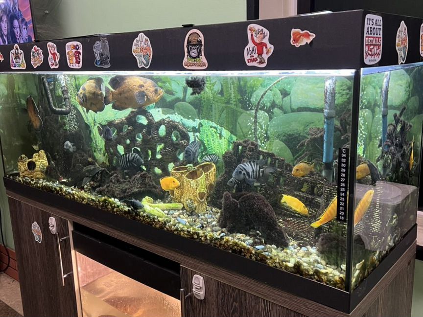 Аквариум с тумбой и рыбками