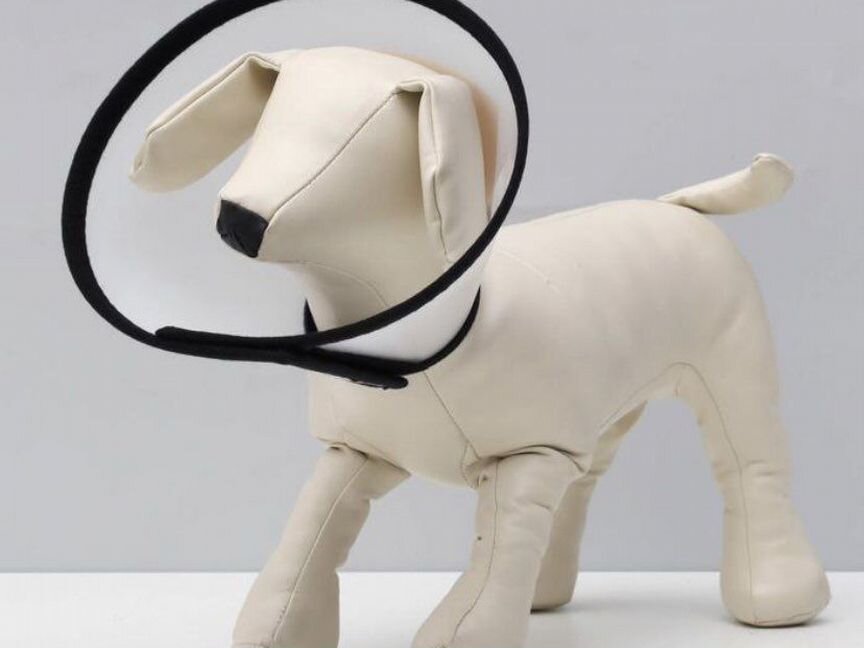 Биостайл воротник для сокдних и крупных собак