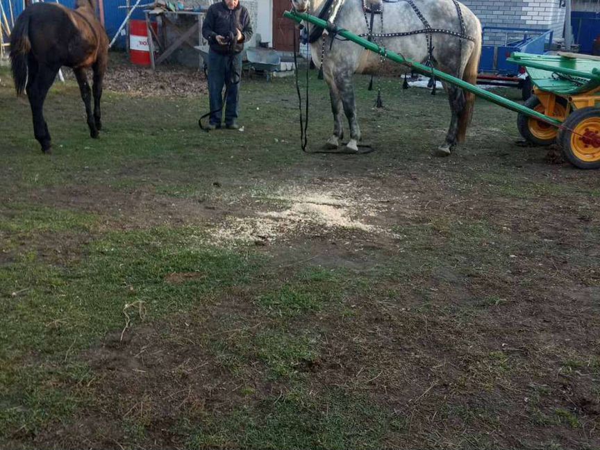 Телега,качалка