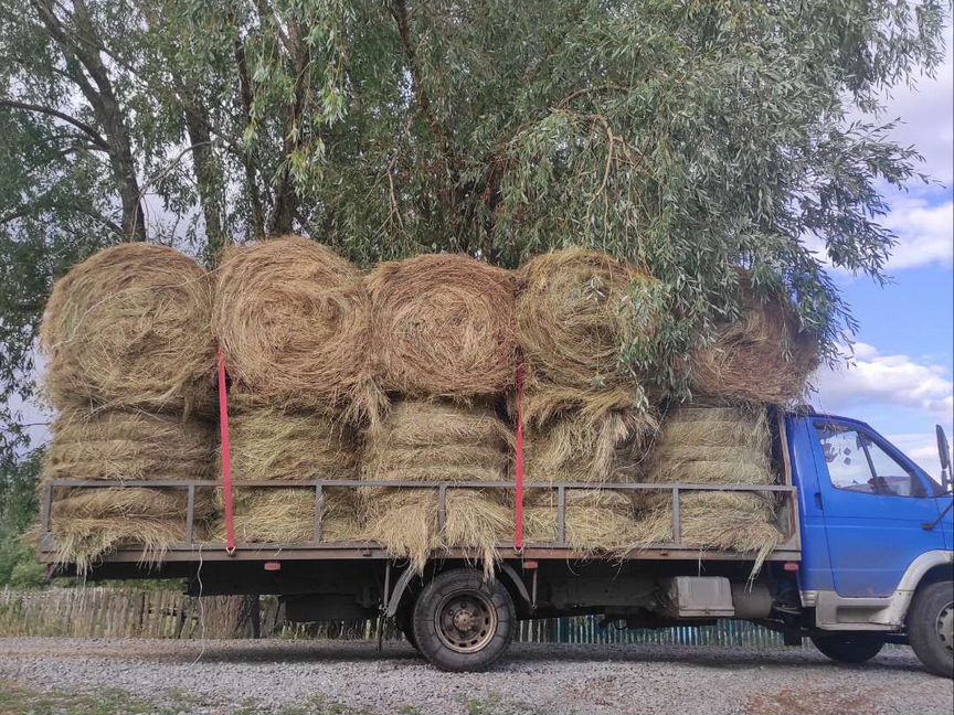 Сено солома в рулонах 2023 доставка