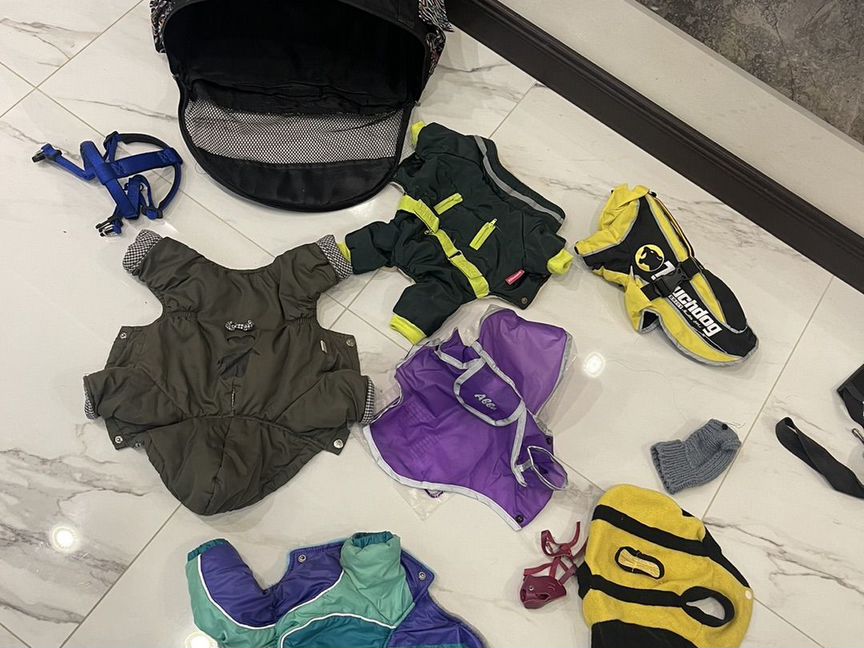 Переноска и вещи для маленькой собаки