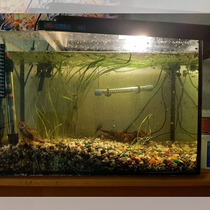 Аквариум 40л