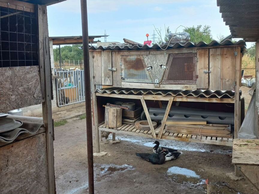 Клетка для кролика