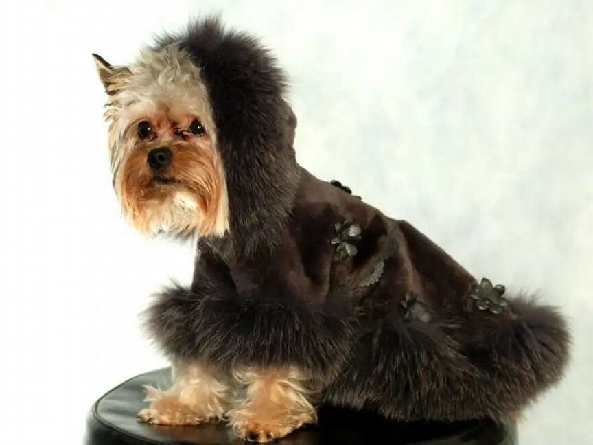 Шуба для собак норка,бобр,лиса,песец