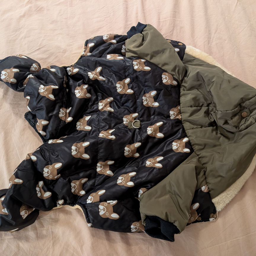 Одежда для собак мелких и средних пород