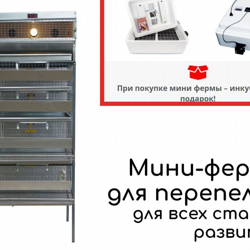 Клетка + брудер для перепелов Москва