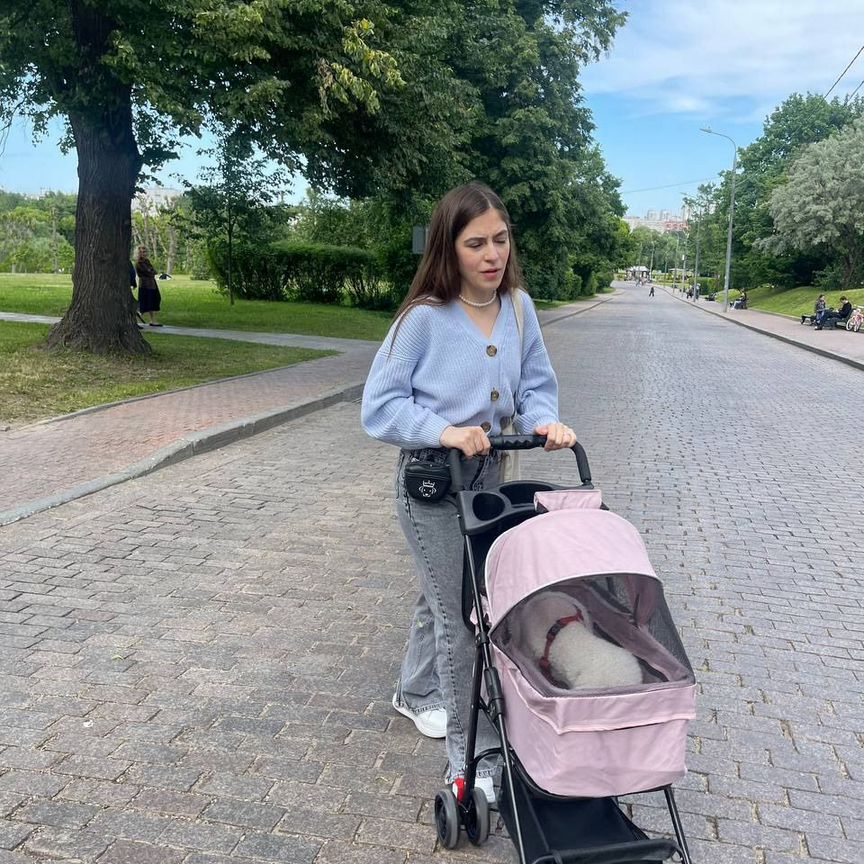 Коляска для животных