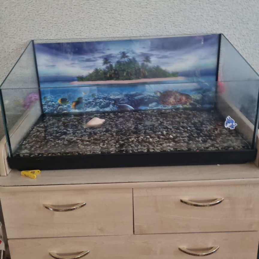 Террариум для черепахи