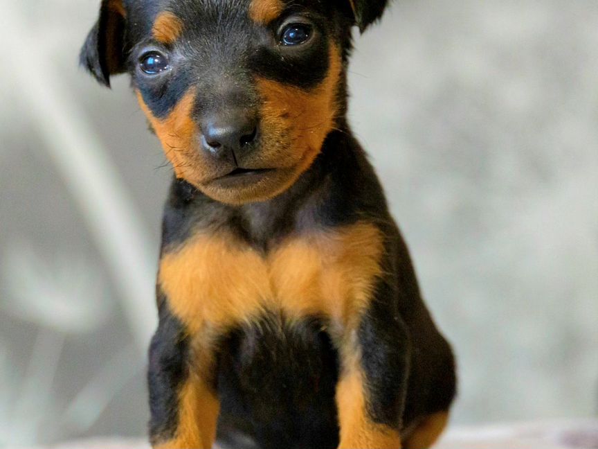 Красивые малыши