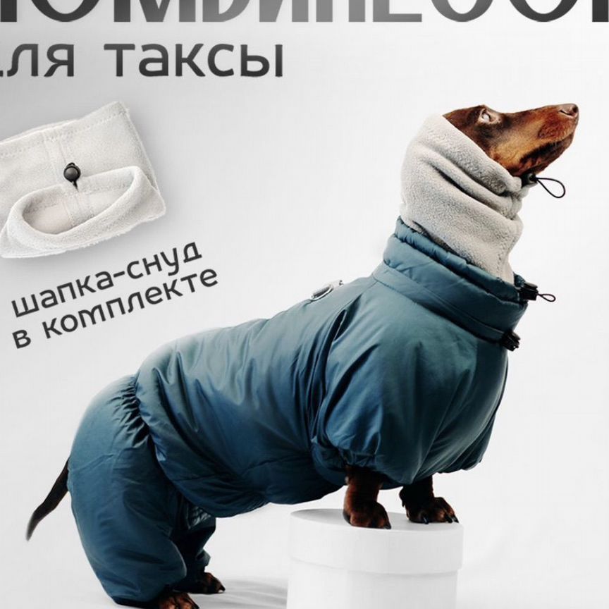 Одежда для собаккомбинезон для таксы