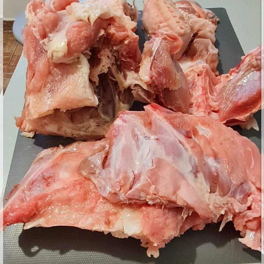 На корм собакам