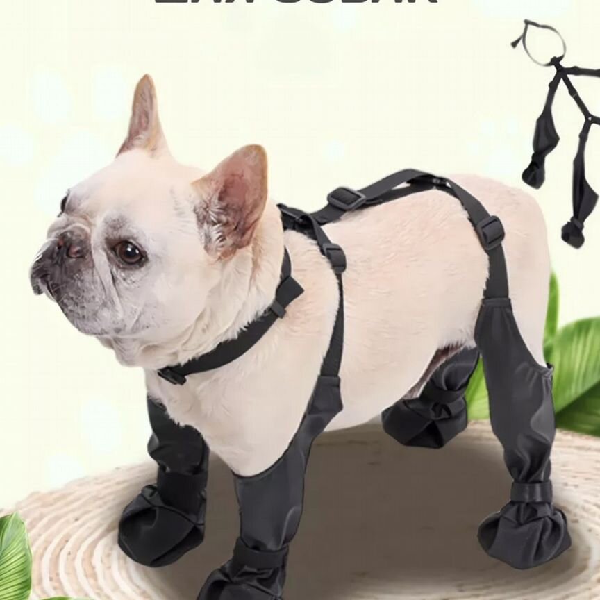 Обувь для собак