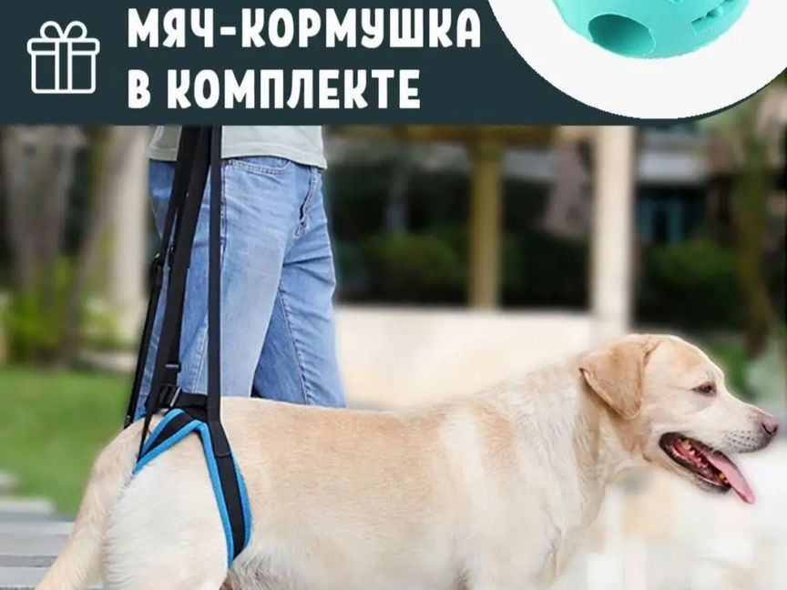 Ходунки для собак крупных пород