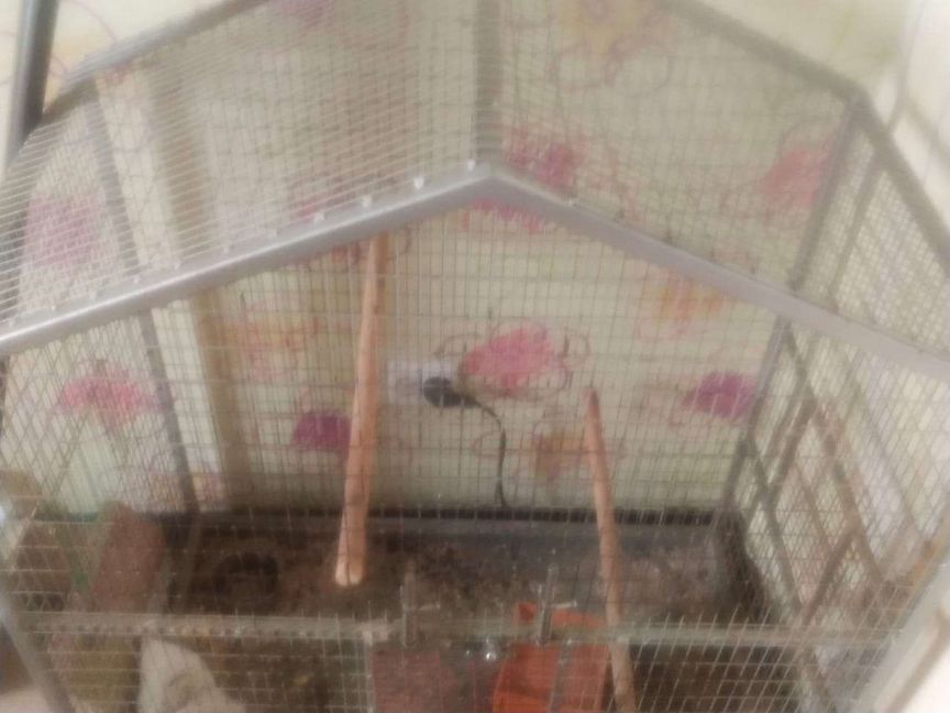 Клетка большая