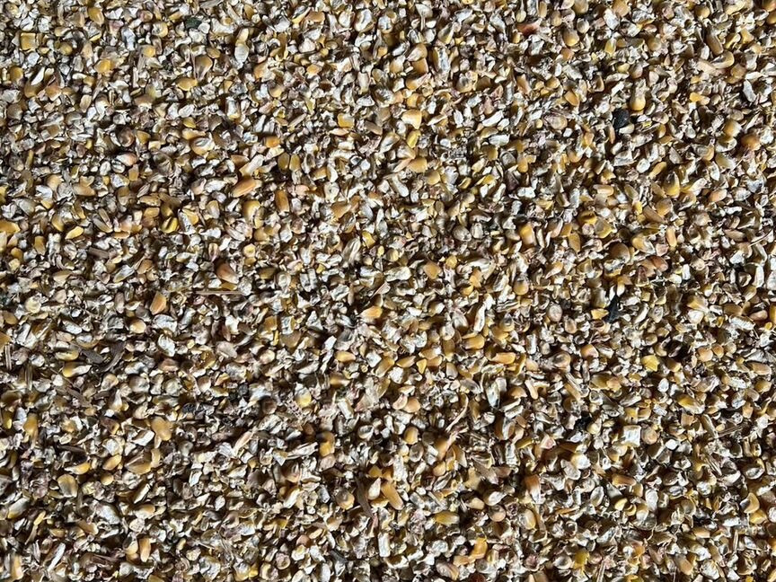 Кукуруза сечка (колотая кукуруза)