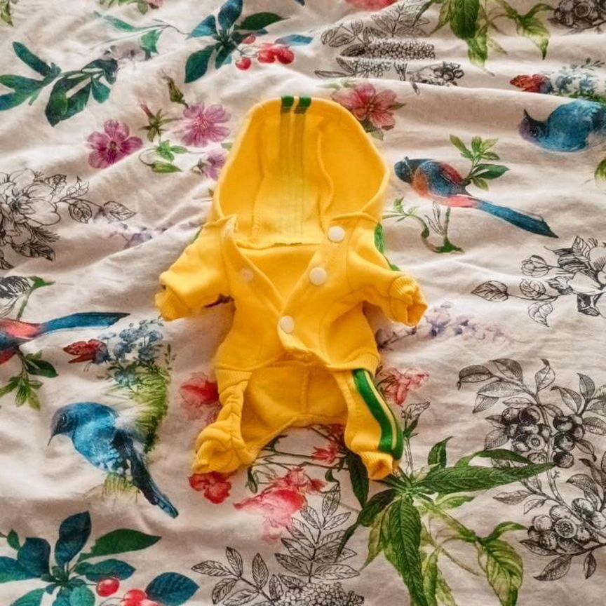 Костюм для маленьких собак