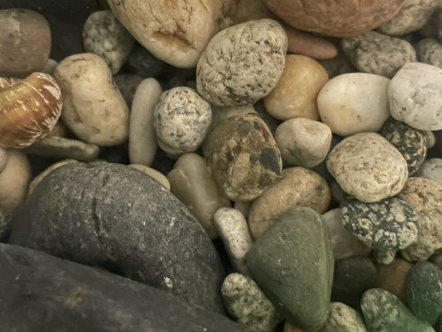 Грунт для аквариума