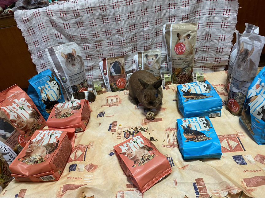 Корма для животных