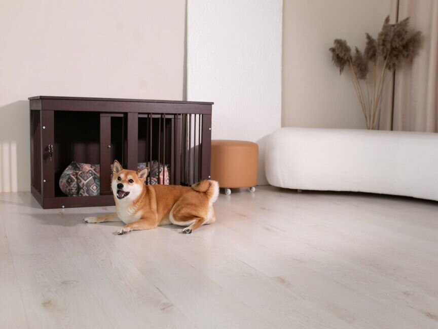 Вольеры для собаки