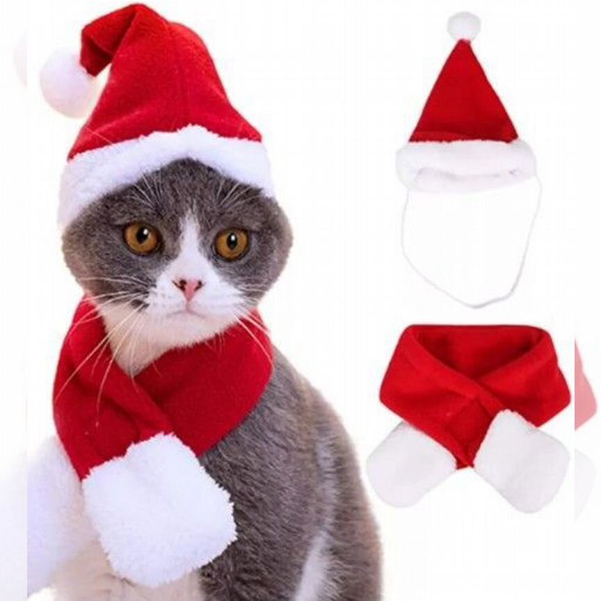 Одежда для животных