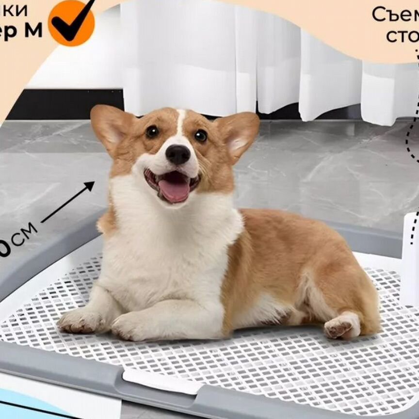 Лоток туалет для собак