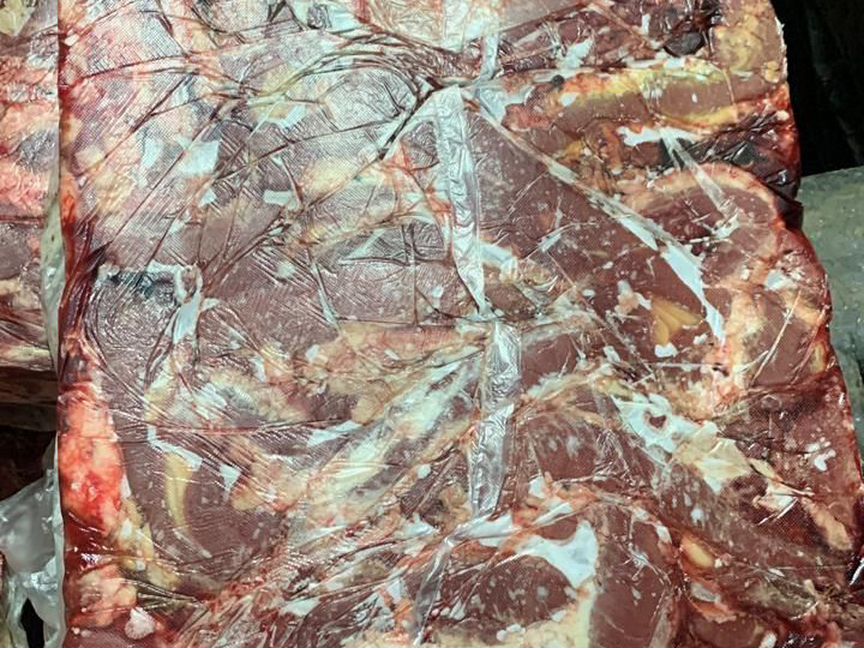 Корм для собак