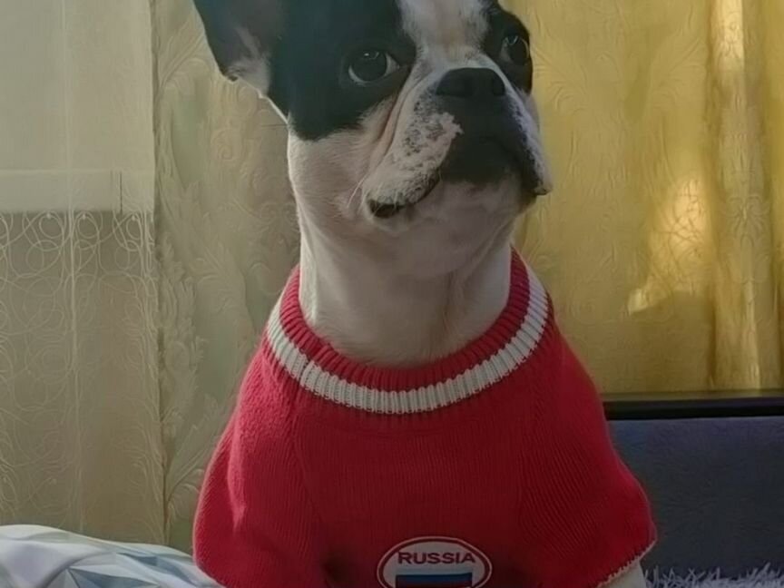 Ищем невесту