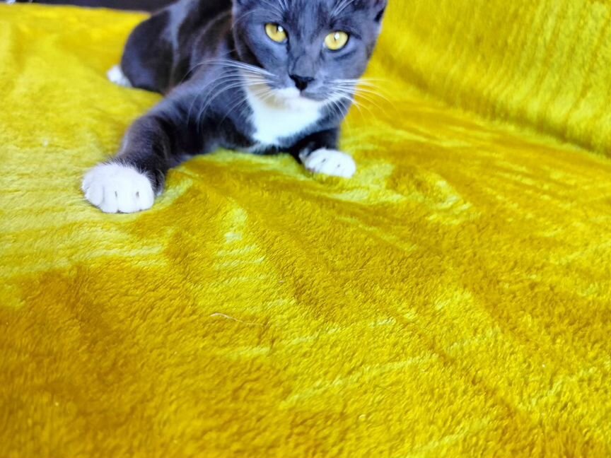 Девчушка в добрые руки