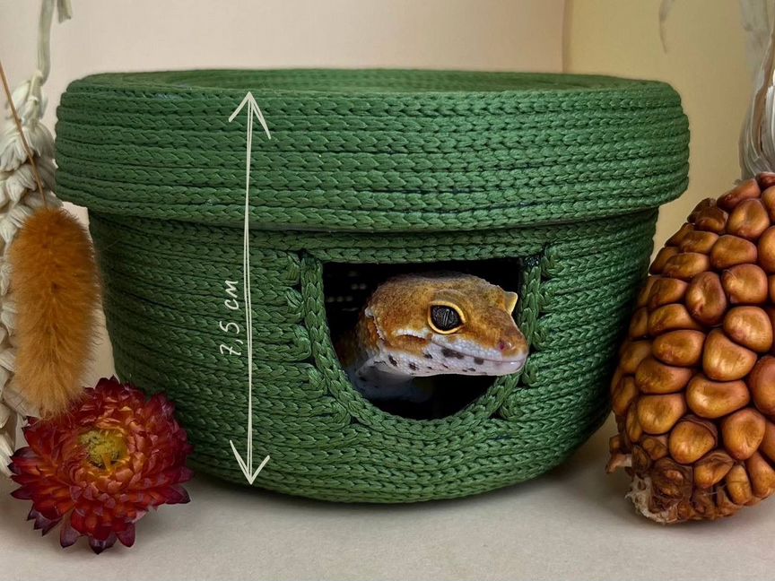 Влажная камера для рептилий