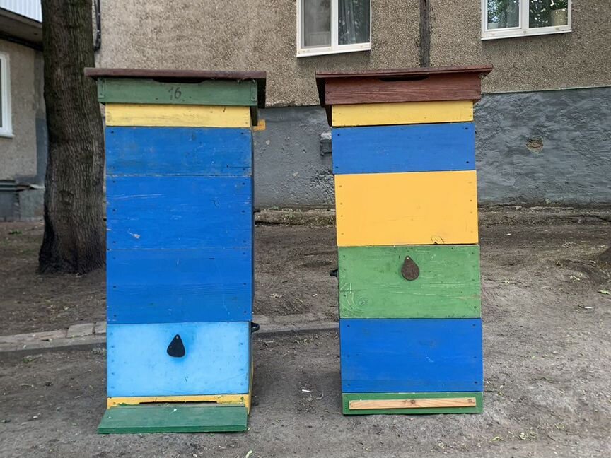 Улей Рута многокорпусный
