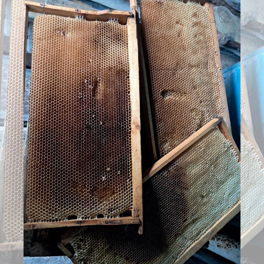 Сушь 230 (Рута) для пчёл. Корпуса 230,150