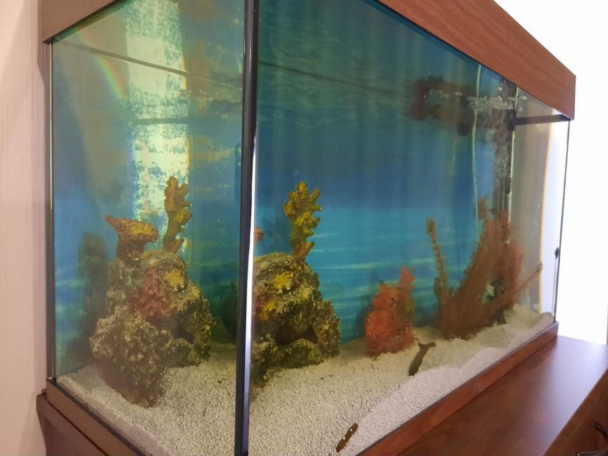 Аквариум Juwel 125л без тумбы