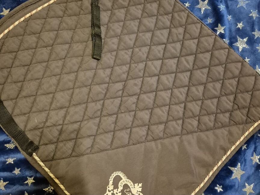 Вальтрап выездковый equest