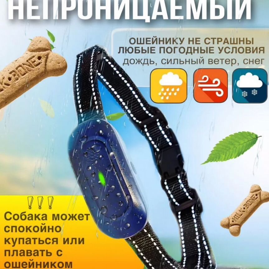 Электронный ошейник