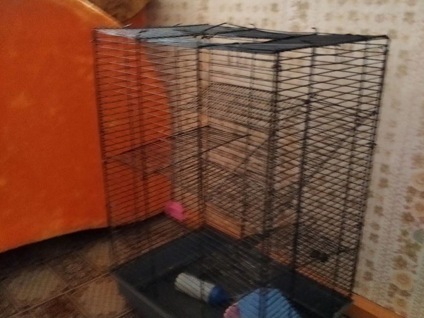 Клетка для грызунов бу
