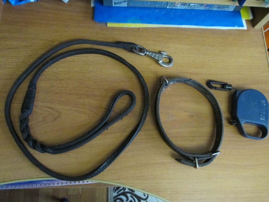 Ошейник для небольшой собаки