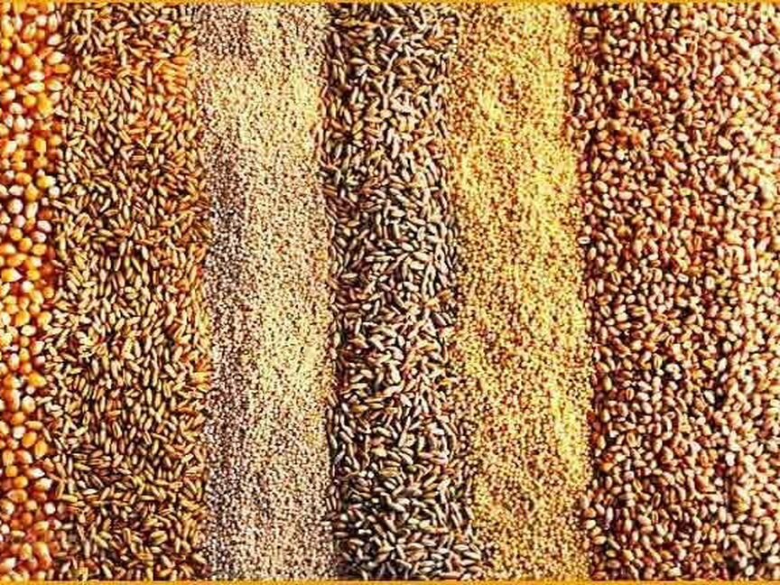 Зерно дроблёное