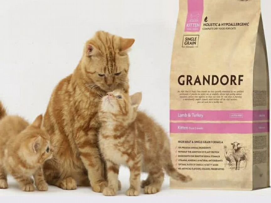 Корм для кошек grandorf