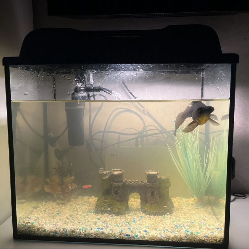 Продам аквариум с рыбками