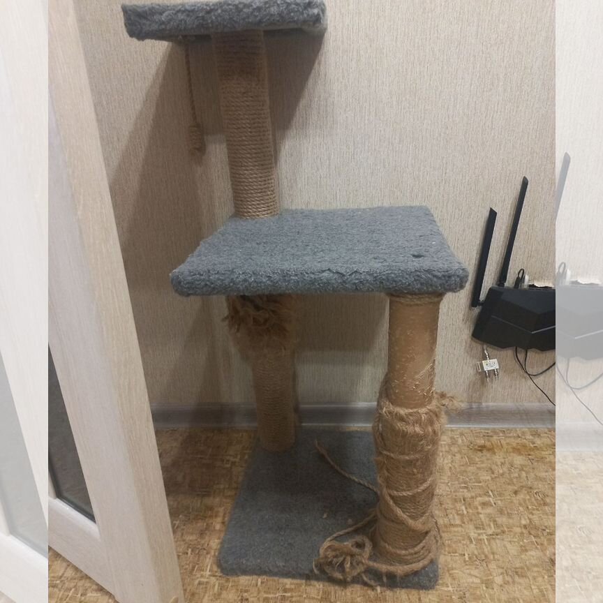 Когтеточка