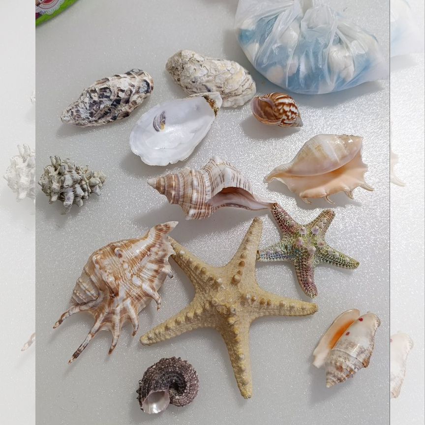 Декорации для аквариума