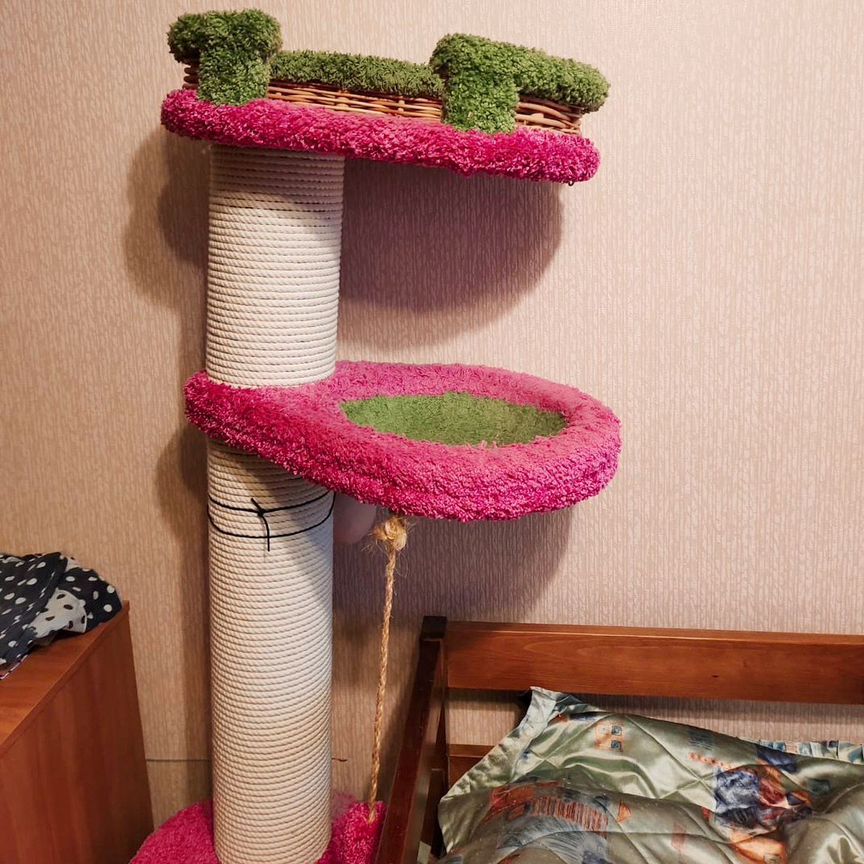Когтеточка (кошкин дом)