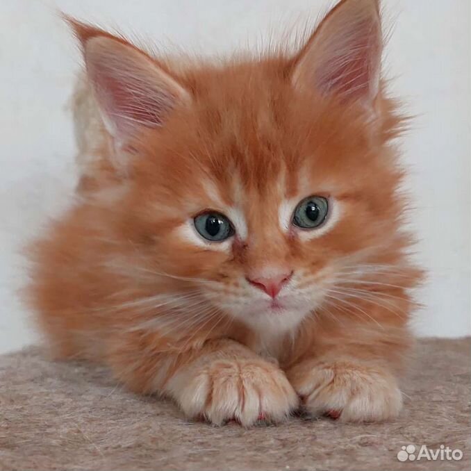 Нереальная красота