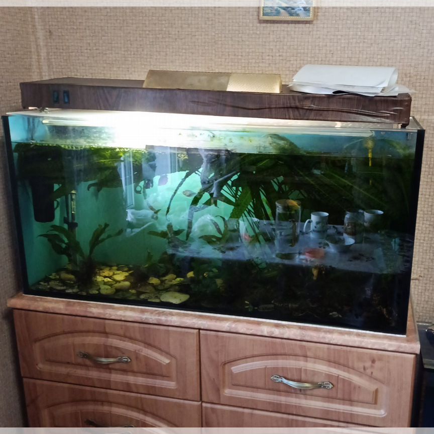 Аквариум с рыбками и всеми приколюхами