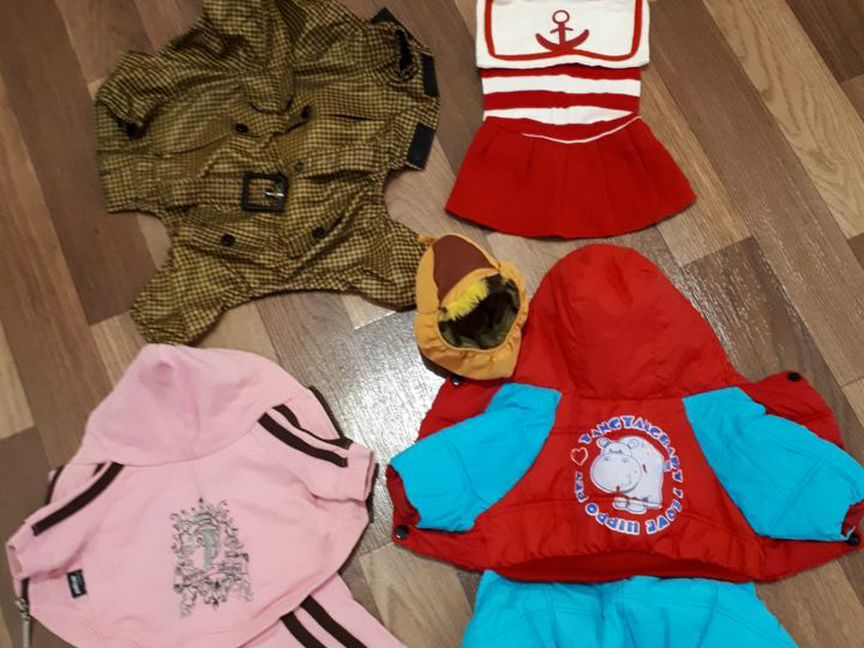 Одежда для собак