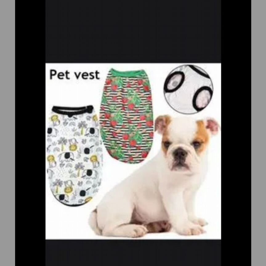 Футболка для собак