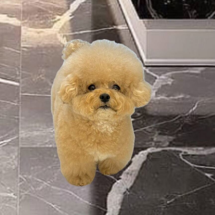 Карамельные детки