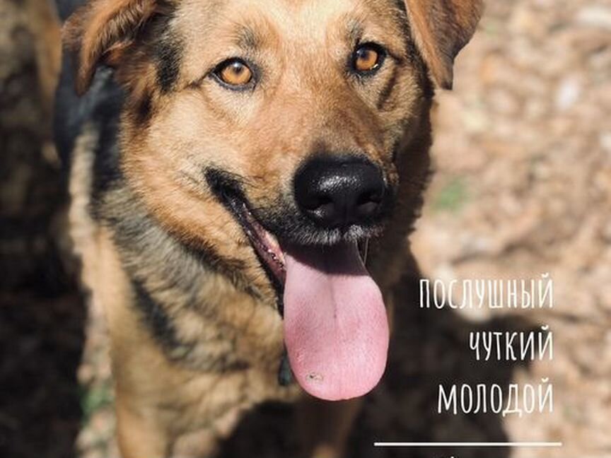 Зайчик ищет семью