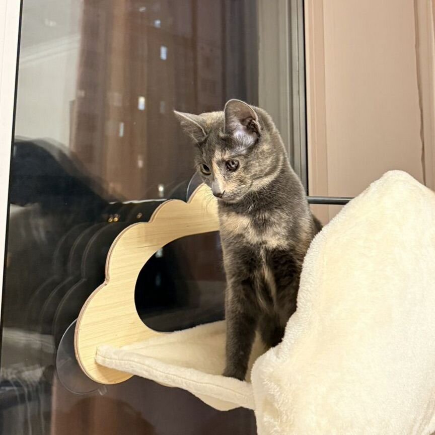 Гамак для кошек на окно