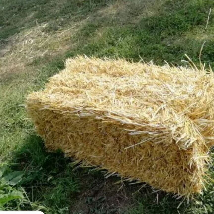 Сено солома в тюках
